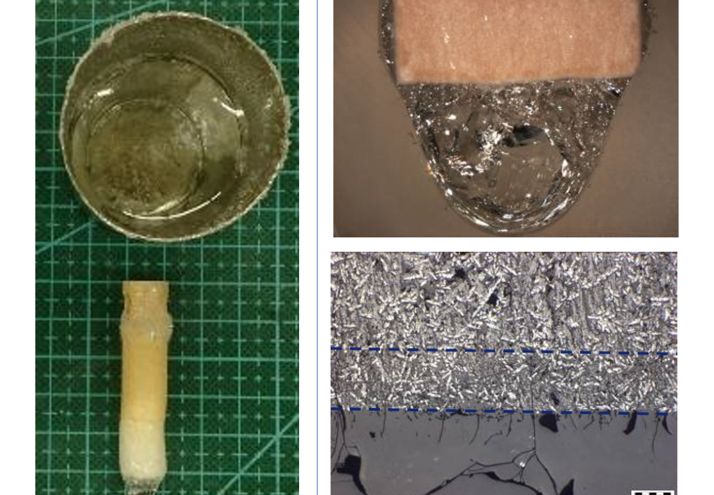 Refractory choice support | Project